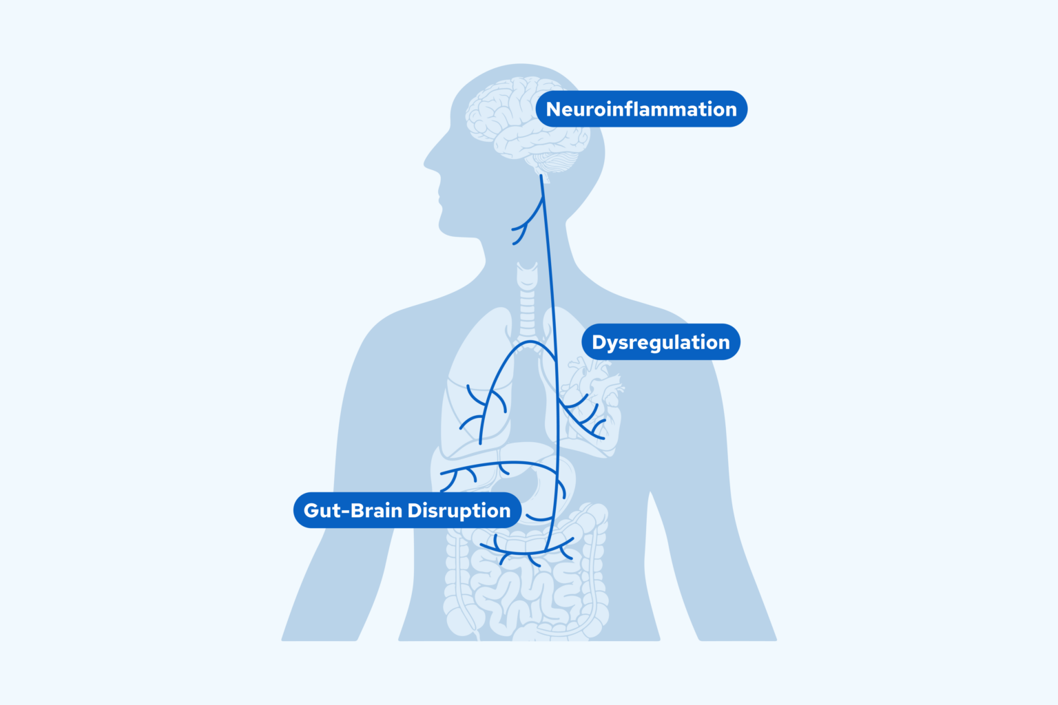 Are Post-Viral Symptoms Linked to Nervous System Dysregulation?