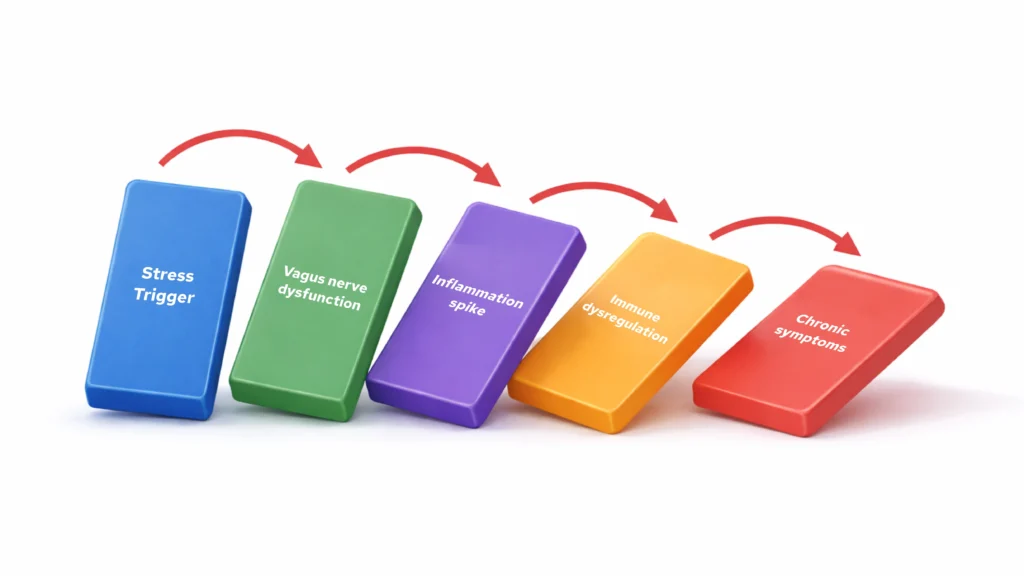 Famous Neurosurgeon Reveals the Body’s Hidden Healing Superhighway